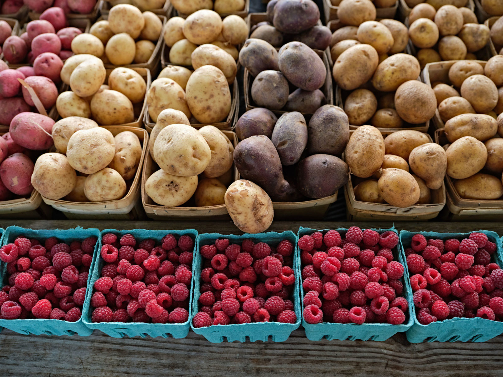 Nutrition Incentives - Fair Food Network