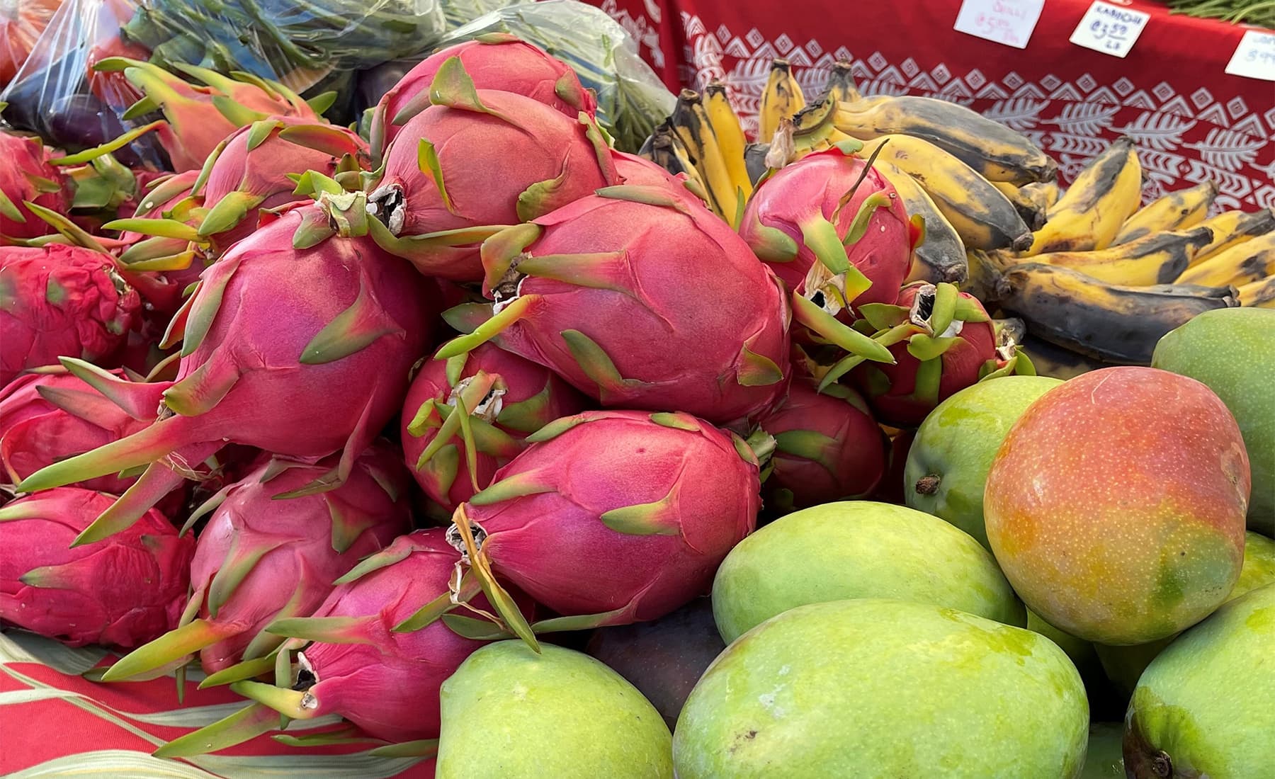 Resilience Event: Alicia Higa, Paula Daniels - Fair Food Network